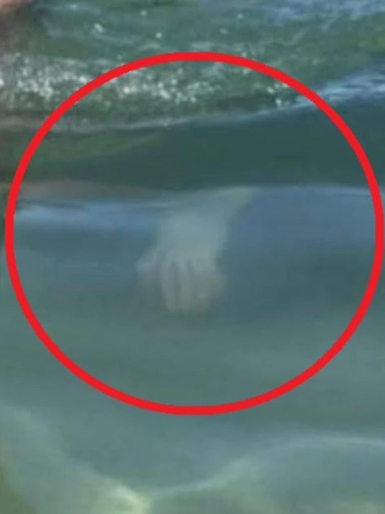 Beach Goer Makes Terrifying Discovery | Undereal